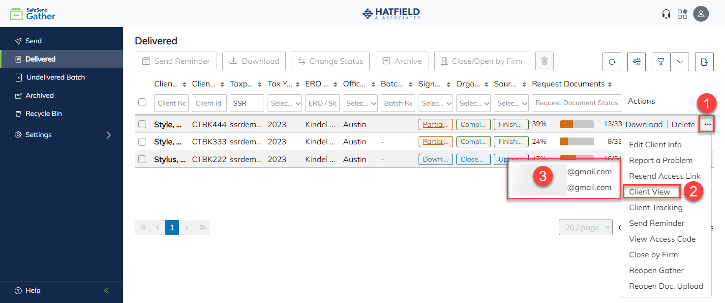 Delivered Gather Report Overview – SafeSend Gather