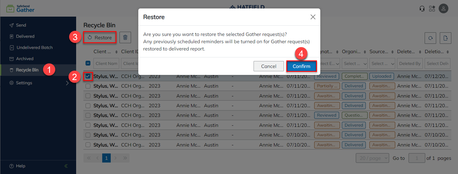Delivered Gather Report Overview – SafeSend Gather